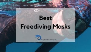 Freediving Equipment - Deeperience