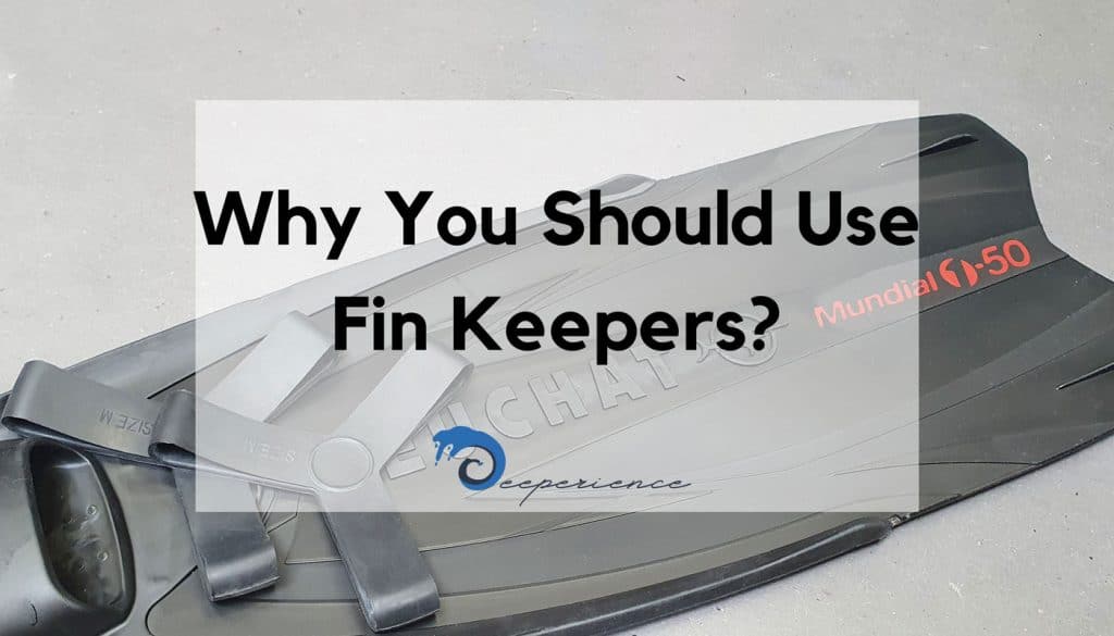 The best entry-level freediving fins for beginners