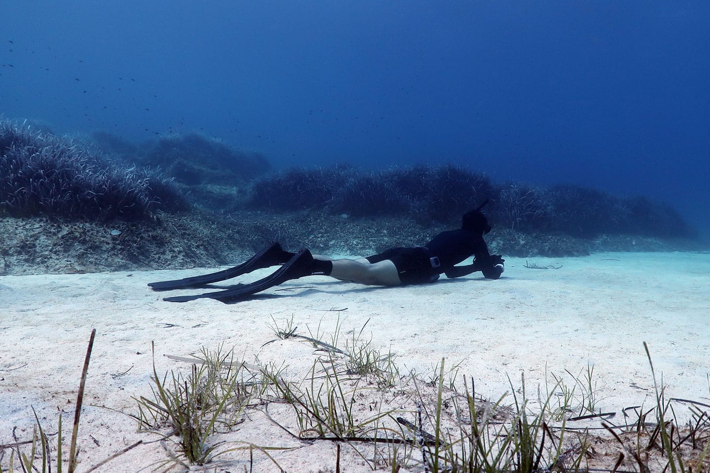 History of Freediving - From Origin to Modern Times