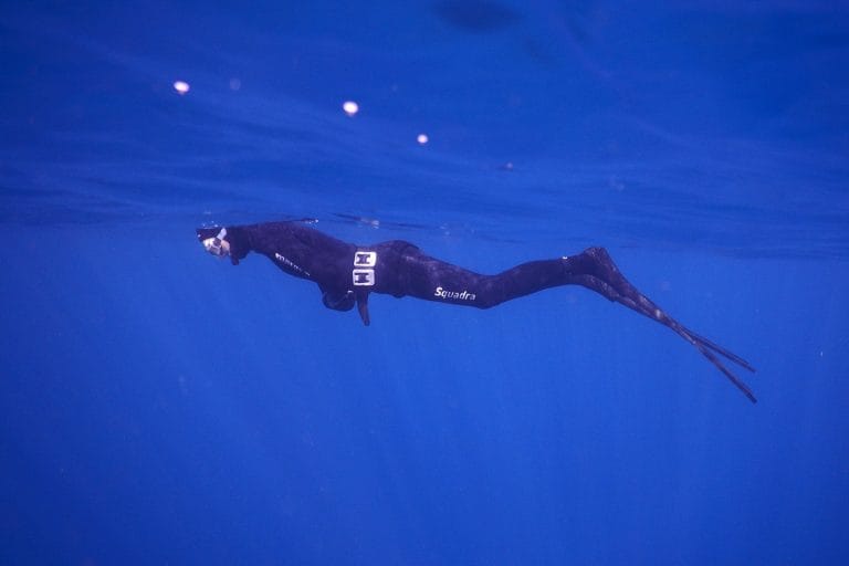 How to choose the best freediving wetsuit?