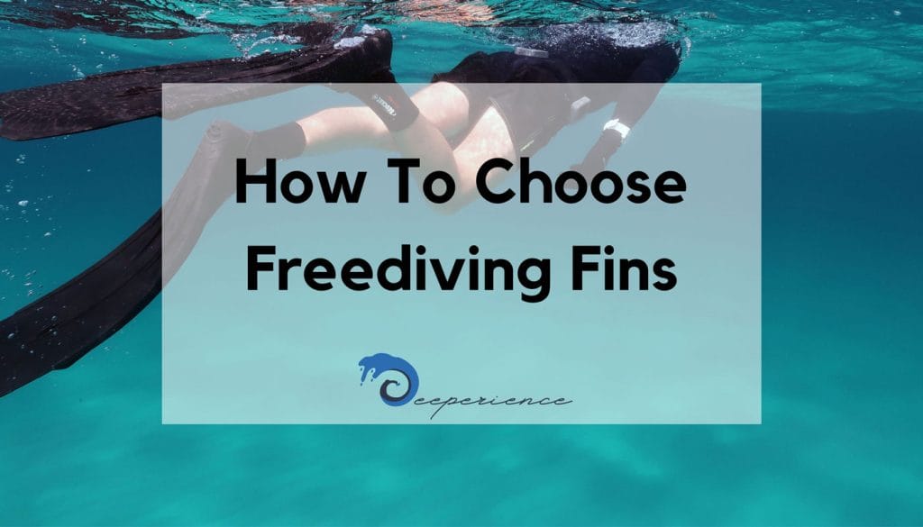 Freediving nose clip - What you need to know before buying