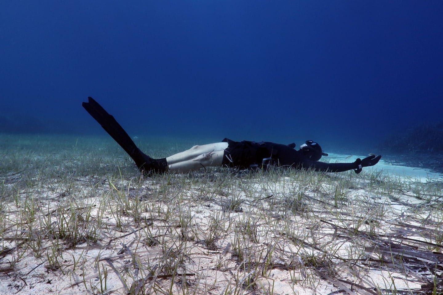 Benefits of Freediving On Your Body and Mind