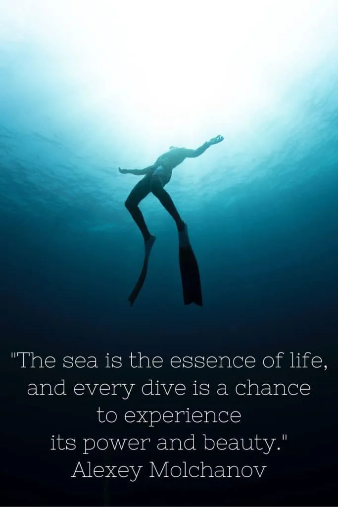 Life Underwater Quotes Inspiring Quotes That'll Make You Want To